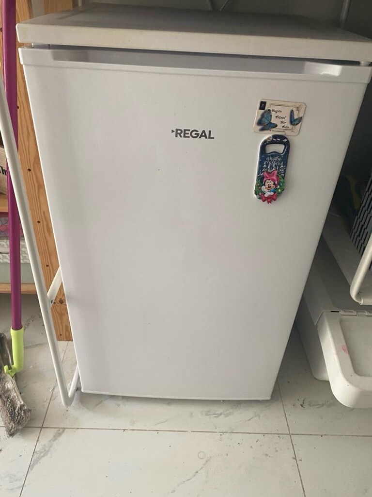 Regal Mini Buzdolabı | Türkiye'deki İkinci El Eşyaları Al & Sat - Letgo