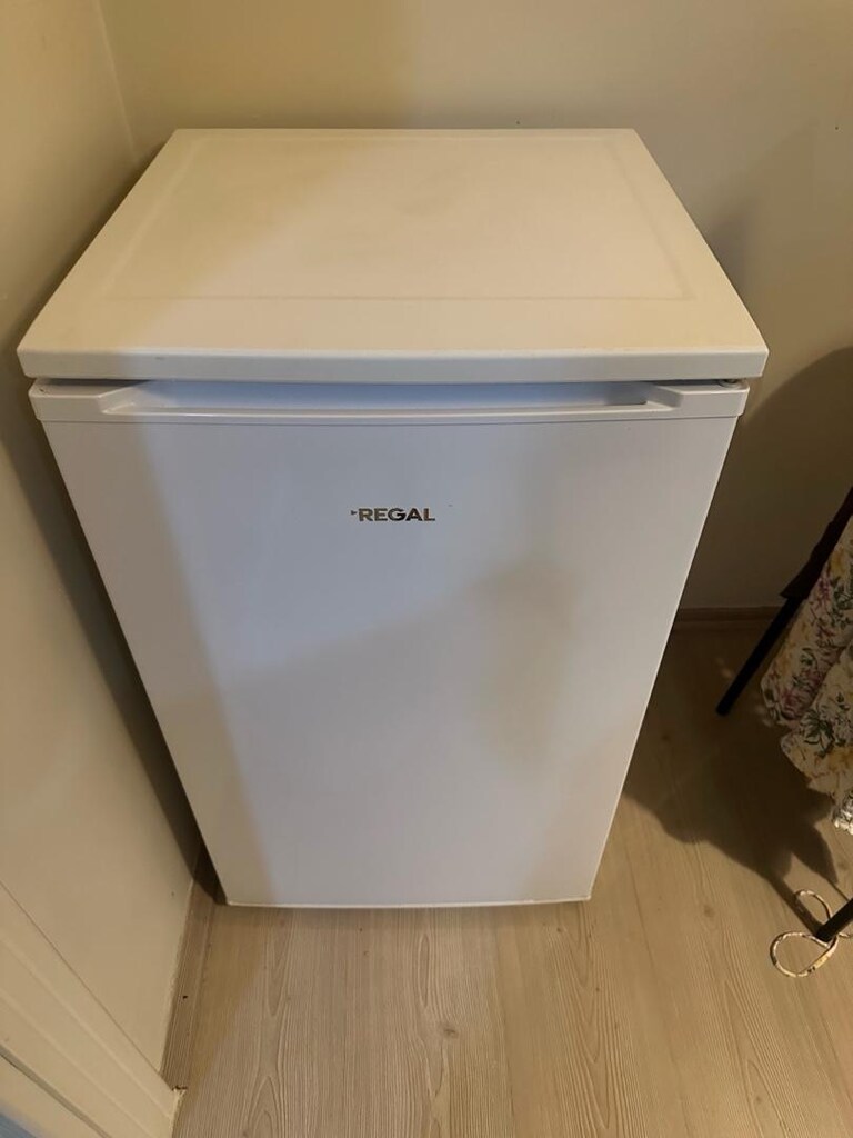 Regal Mini Buzdolabı | Türkiye'deki İkinci El Eşyaları Al & Sat - Letgo