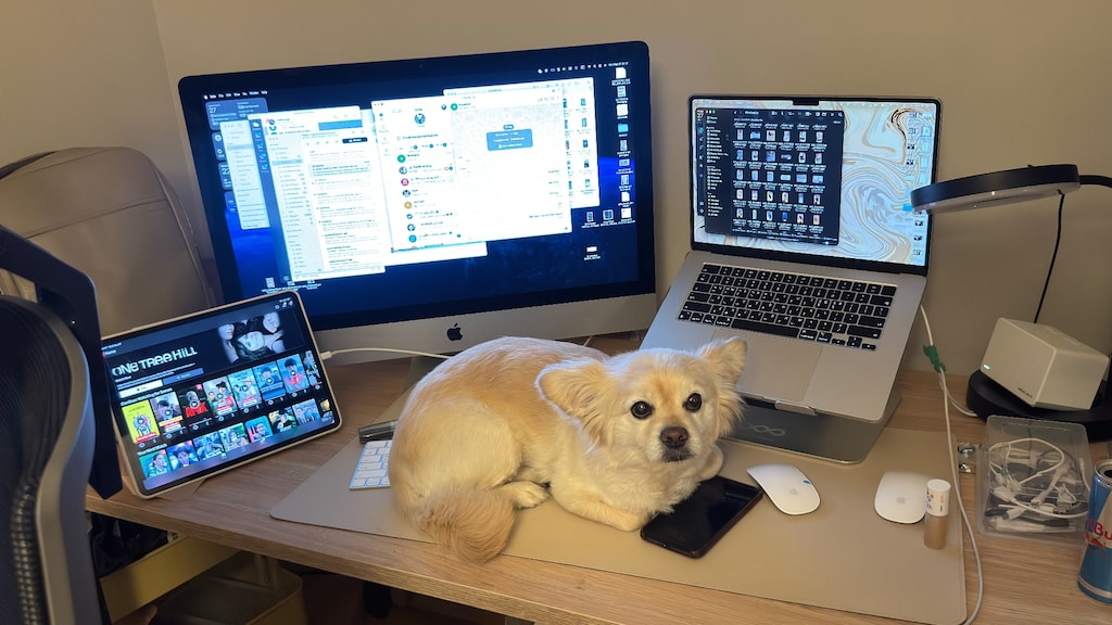 Apple iMAC Retina 5K 27" - 2019 Model - letgo'dan Sıfırından Uygun ...