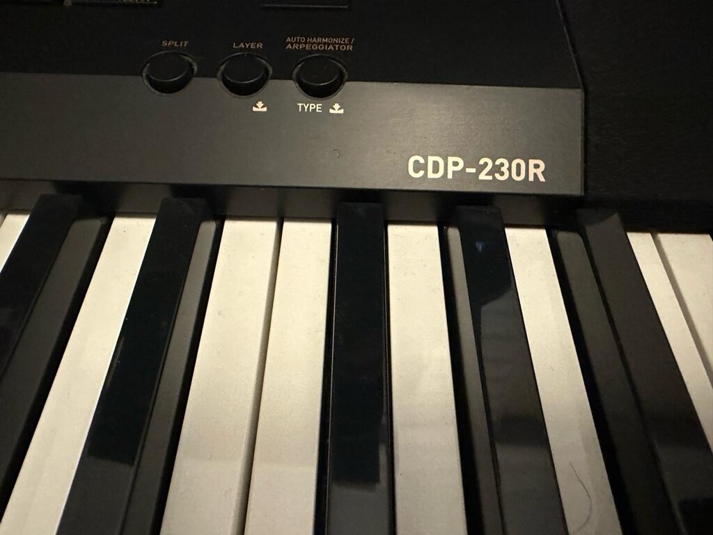 Piyano-Casio CDP-230R | Türkiye'deki İkinci El Eşyaları Al & Sat - Letgo